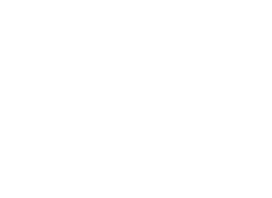 Executive management – PSG Group